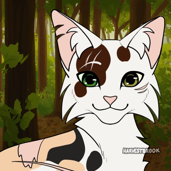 Kaarna klaanin alku | Soturikissat fani Wiki | Fandom