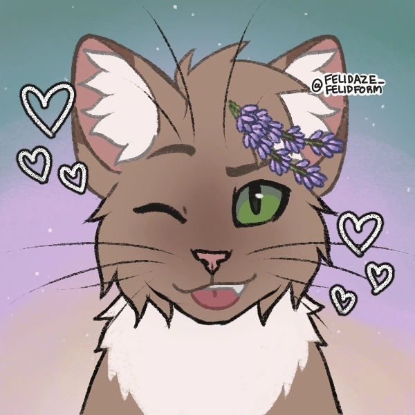 Luokka:Kuolleet hahmot | Soturikissat fani Wiki | Fandom