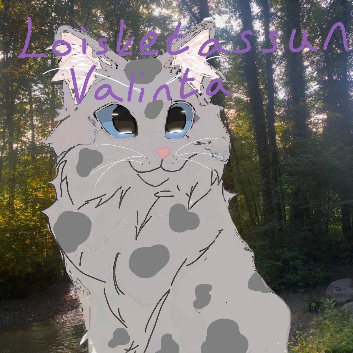 Loisketassun valinta | Soturikissat fani Wiki | Fandom