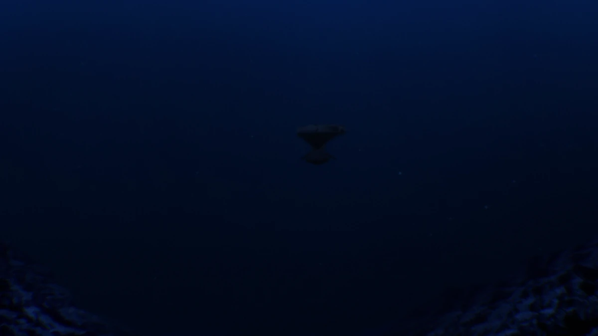 Second Plan L/Gallery | Soukyuu no Fafner Wiki | Fandom