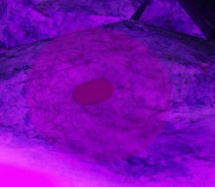 All Stones | Soul Stone Simulator Wiki | Fandom