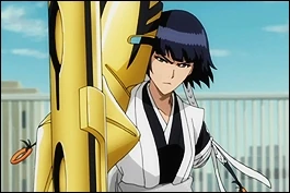 Bankai Soifon | Soul Arena Wiki | Fandom