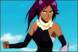 Armored Yoruichi | Soul Arena Wiki | Fandom