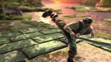 Haystir | Soulcalibur Wiki | Fandom
