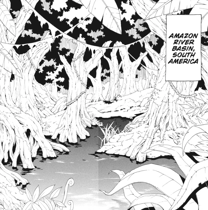 Amazon Basin | Soul Eater Wiki | Fandom