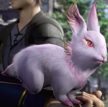 Xiao Wu | Soul Land Wiki | Fandom