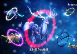 Soul Rings | Soul Land Wiki | Fandom