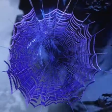 Tang San/Abilities | Soul Land Wiki | Fandom