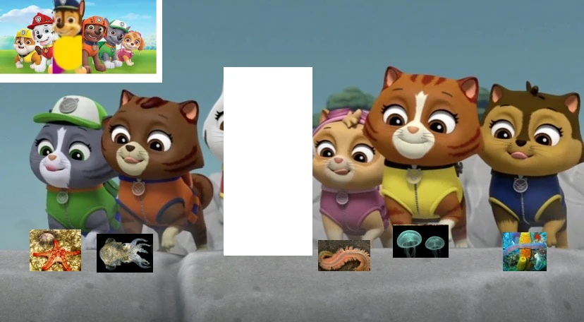 Kitten catastrophe pet flying | Sound effects fanon Wiki | Fandom