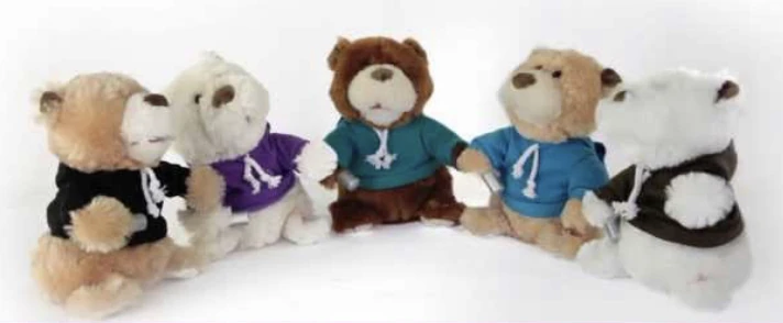 Bear Direction | Sound N Light Animatronics Wiki | Fandom