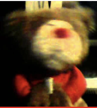 Singing Bear with Microphone | Sound N Light Animatronics Wiki | Fandom