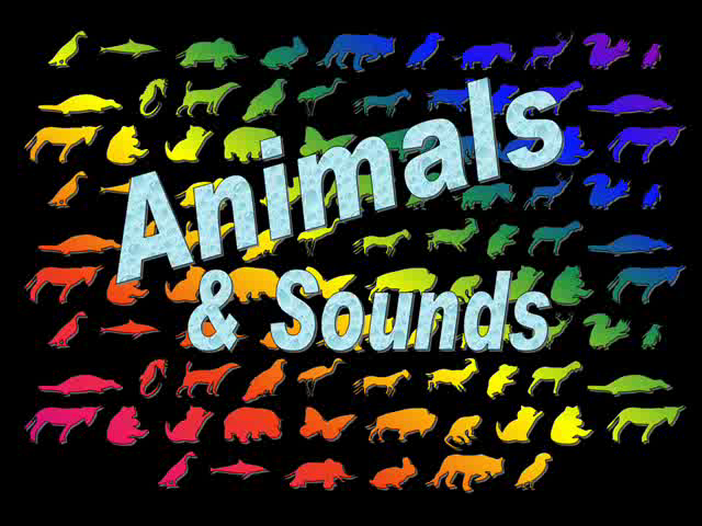 Animals And Sounds Image Gallery Soundeffects Wiki Fandom