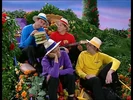 The Wiggles/Image Gallery/Wiggly TV Series | Soundeffects Wiki | Fandom
