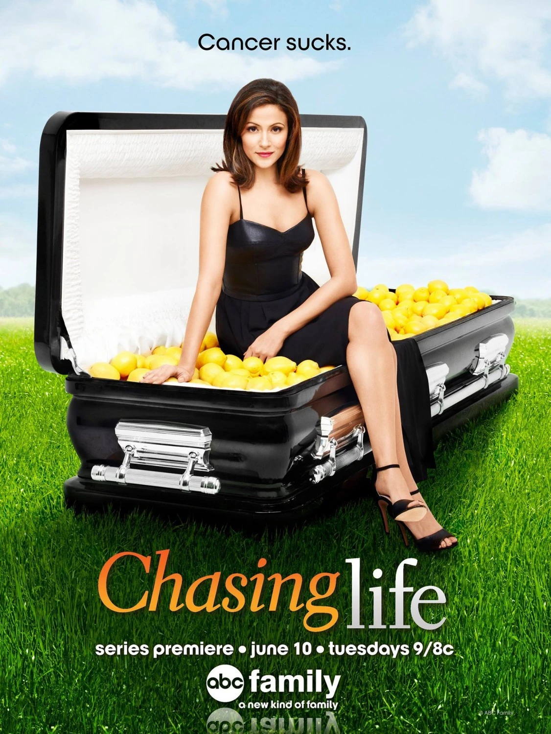 Chasing Life | Soundeffects Wiki | Fandom