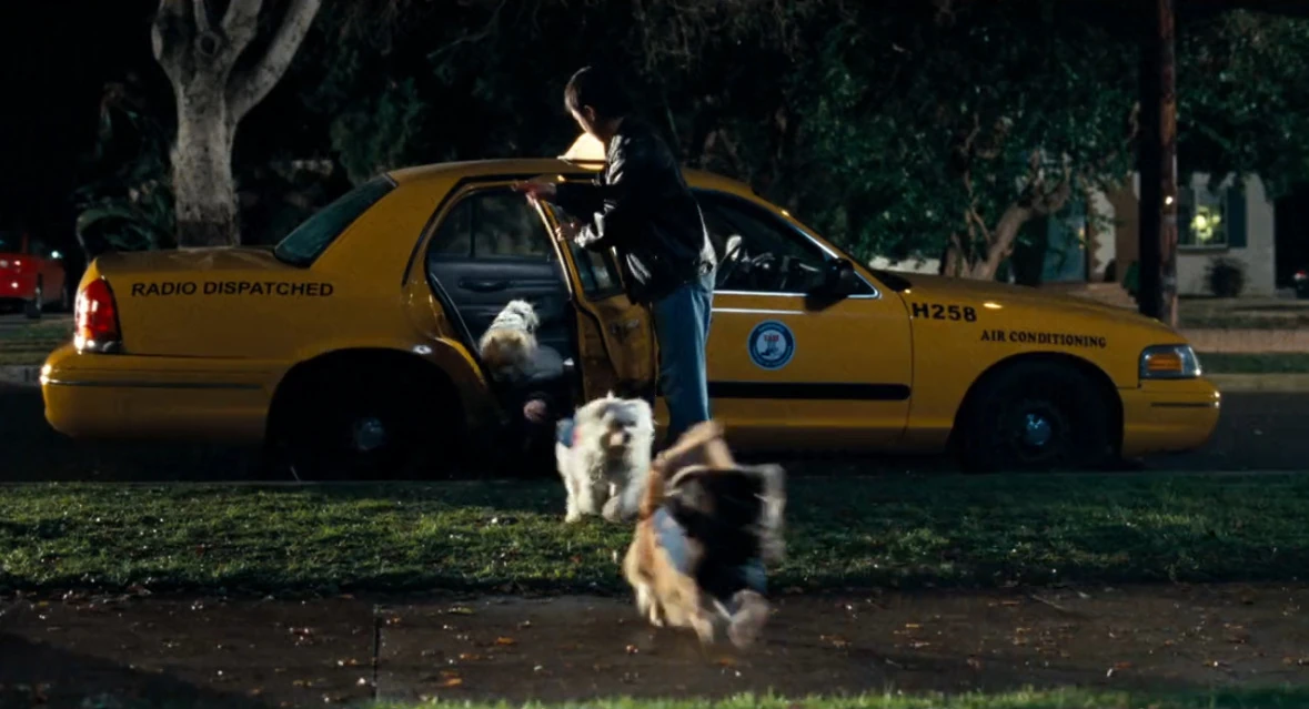 Sound Ideas, HUMAN, SCREAM - FEMALE: TERROR SCREAMS | Soundeffects Wiki ...