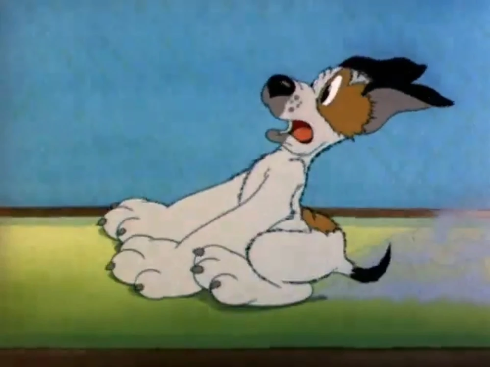 MGM SKID, CARTOON - CAR SKID/Image Gallery/MGM Cartoons | Soundeffects ...