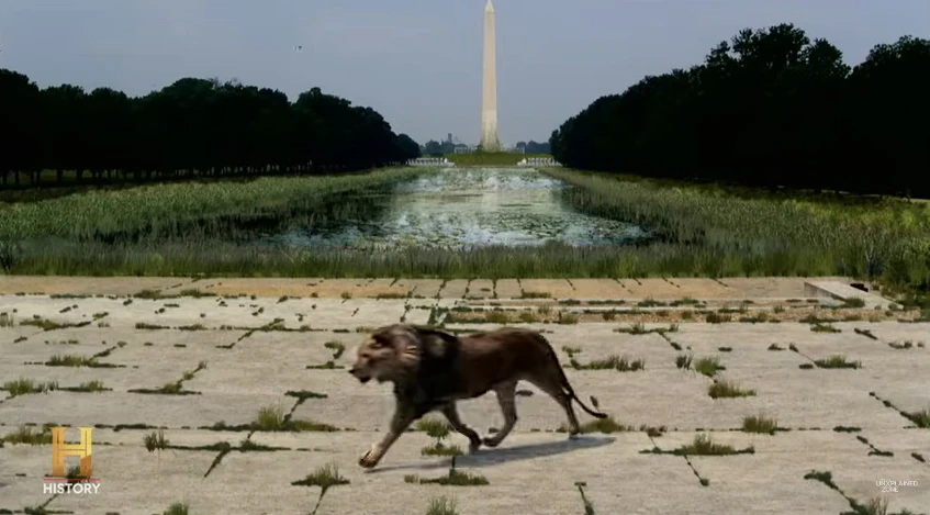 Life After People/Image Gallery | Soundeffects Wiki | Fandom