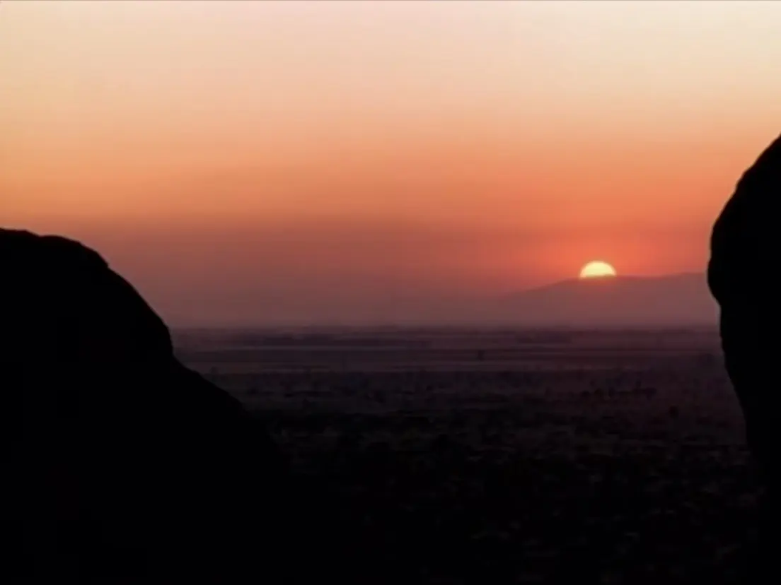 Hollywoodedge, Wolf Howl Cry Smooth PE938301 | Soundeffects Wiki | Fandom