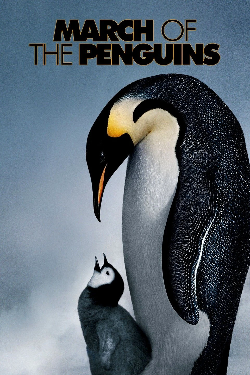 March of the Penguins (2005) | Soundeffects Wiki | Fandom