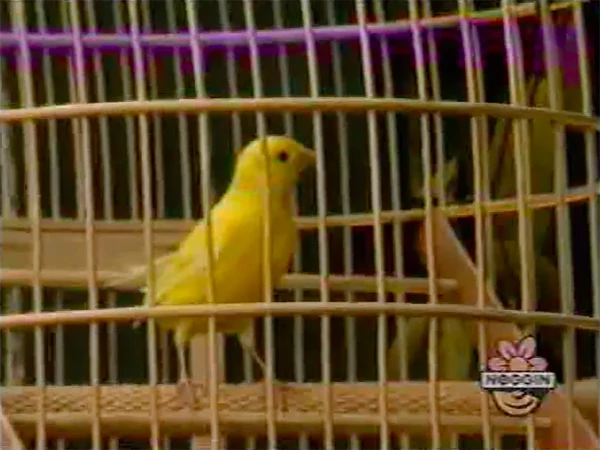 Oobi/Image Gallery/Season 1 | Soundeffects Wiki | Fandom