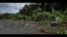 Sound Ideas, ANIMAL, CALL - MOURNFUL CRY OR WAIL 01 | Soundeffects Wiki ...
