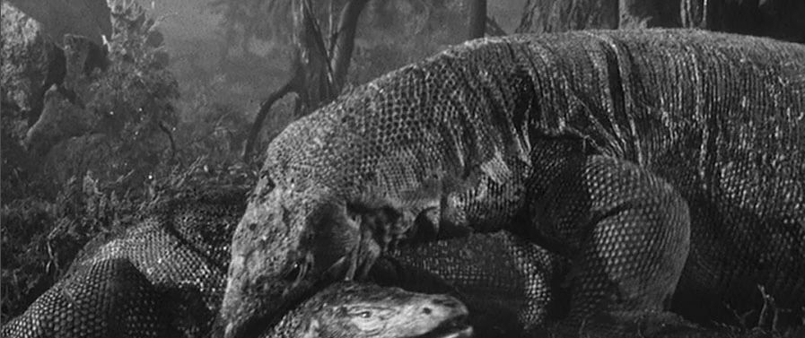 Sound Ideas, MONSTER - ROAR, ANIMAL 05 | Soundeffects Wiki | Fandom