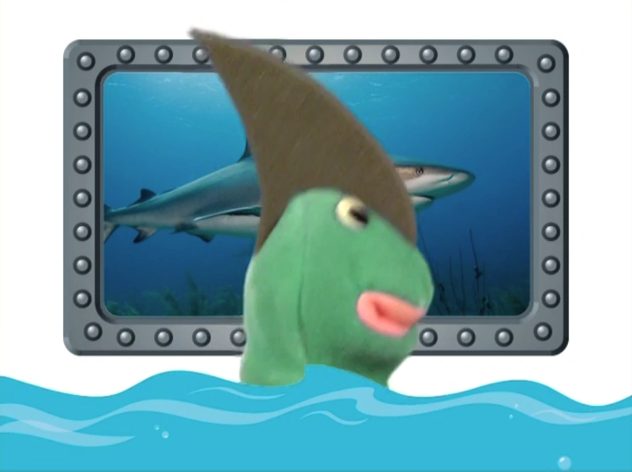 Sound Ideas, AMBIENCES - WATER - WATER: THROW ROCK IN WATER: SMALL ...