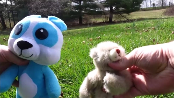 Shelly and Terry: The Big League (2024)/Image Gallery | Soundeffects ...