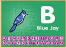 Sound Ideas, BIRD, BLUE JAY - SINGLE CALLS, ANIMAL 01/Image Gallery ...