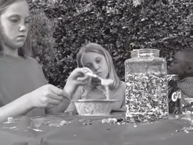 Snacky's Snack Party (2002) | Soundeffects Wiki | Fandom