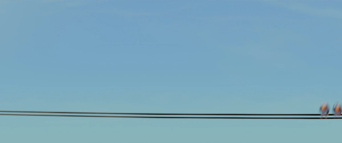 SKYWALKER, BIRD - BLUE BIRDS SQUEAKING/Image Gallery | Soundeffects ...