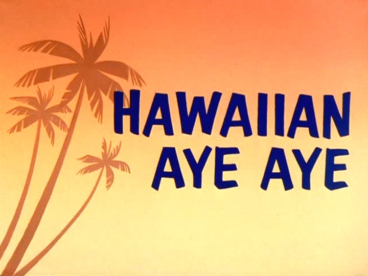 Hawaiian Aye Aye | Soundeffects Wiki | Fandom