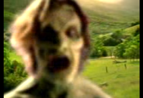 Sound Ideas, CARTOON, YELL - HUMAN ROAR | Soundeffects Wiki | Fandom