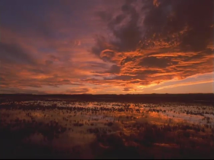 Sound Ideas, BACKGROUNDS - COUNTRYSIDE - QUIET POND - LIGHT WIND ...