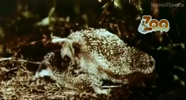 Sound Ideas, CARTOON - LAUGHTER - SMALL CHARACTER CHUCKLING / COUGHING ...