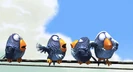SKYWALKER, BIRD - BLUE BIRDS SQUEAKING/Image Gallery | Soundeffects ...