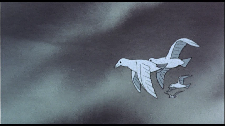 Disney Seagulls Squawking Sound | Soundeffects Wiki | Fandom