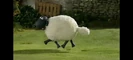 Shaun the Sheep/Image Gallery/Season 1 | Soundeffects Wiki | Fandom