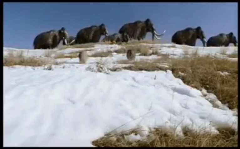 Walking with Beasts/Image Gallery | Soundeffects Wiki | Fandom