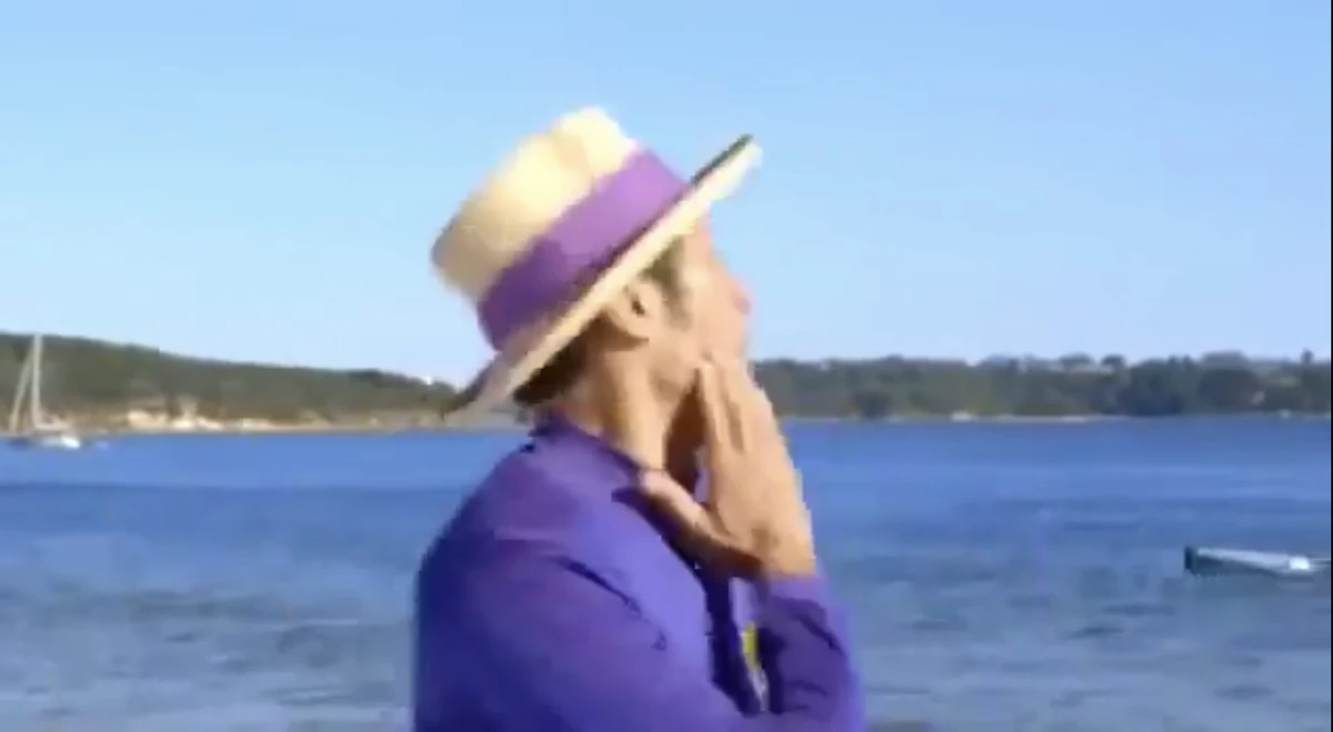 The Wiggles: Surfer Jeff (2012)/Image Gallery | Soundeffects Wiki | Fandom