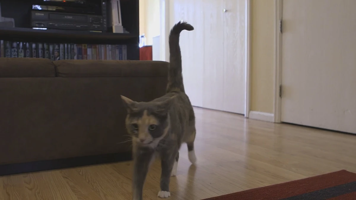 Group Publishing Talk About Videos/Image Gallery | Soundeffects Wiki ...