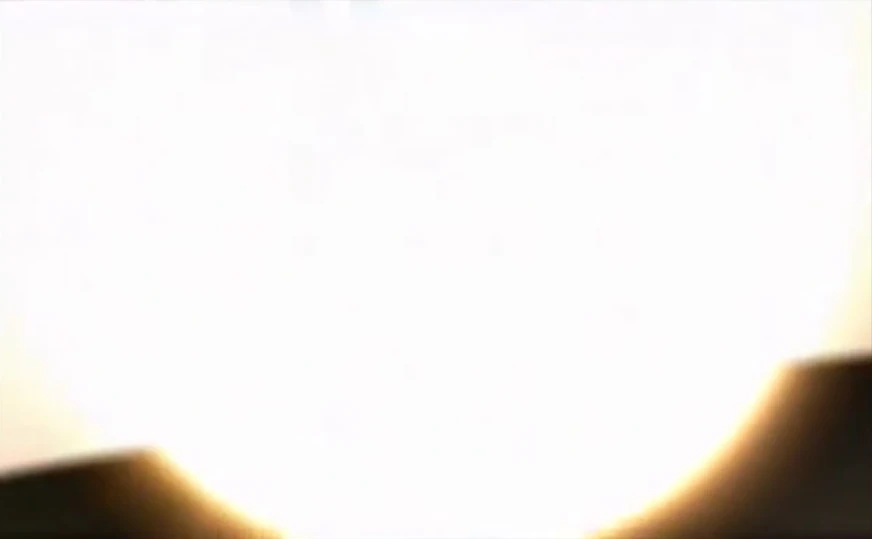 Bunny (1998) (Short)/Image Gallery | Soundeffects Wiki | Fandom