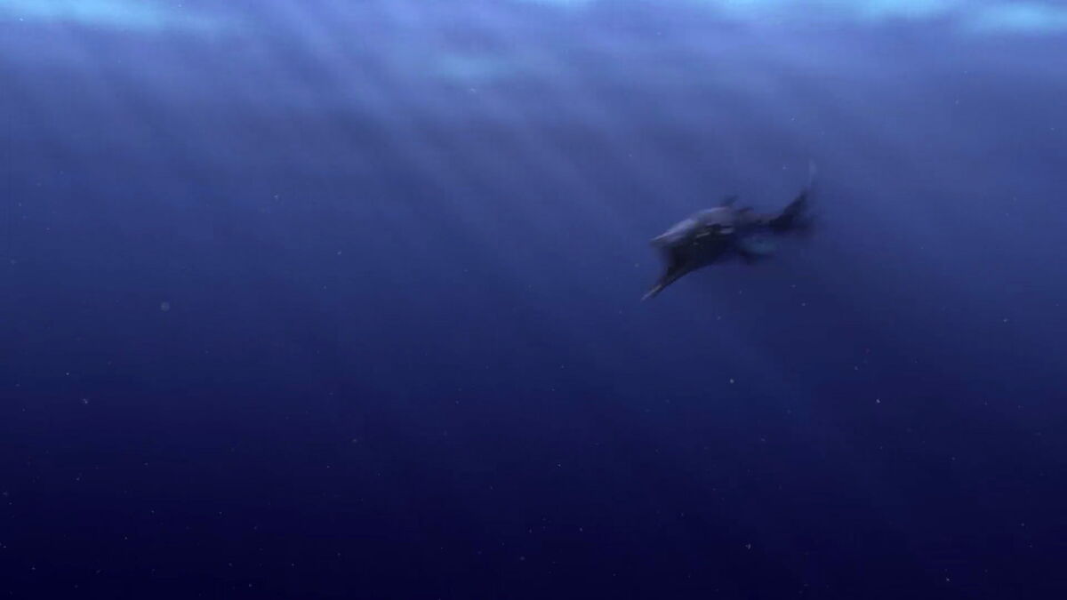 Skywalker Roar Barracuda Growl Soundeffects Wiki Fandom