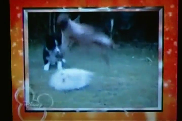 Sound Ideas, CARTOON - CARTOON KARATE COLLECTION, FIGHT | Soundeffects ...