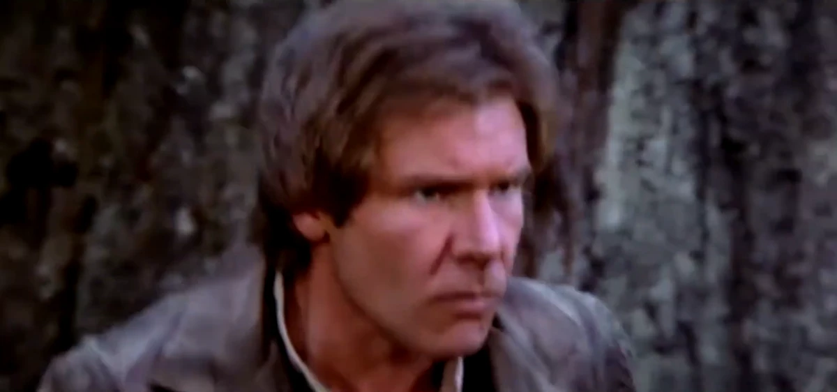 SKYWALKER, SNAP - TWIG BRANCH CRACKING | Soundeffects Wiki | Fandom