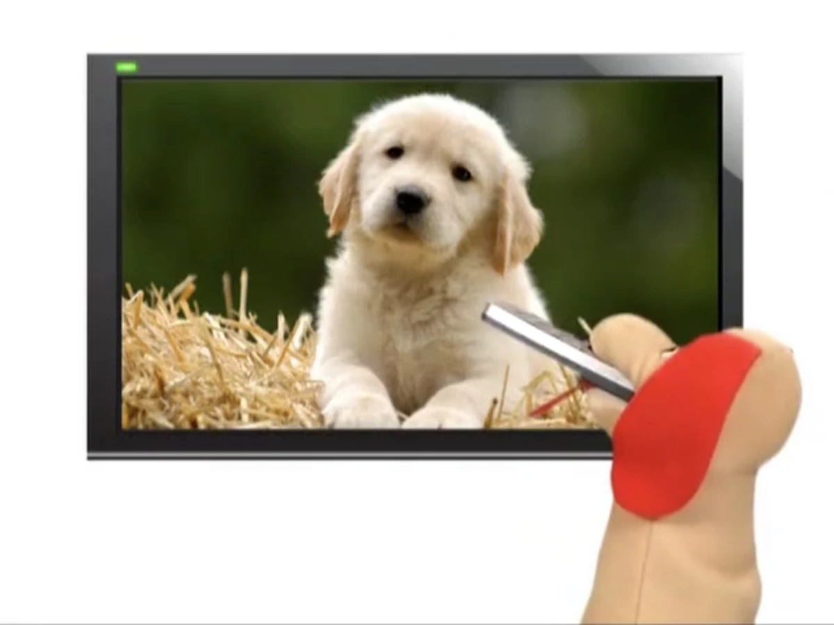 Sound Ideas, DOG, MEDIUM - SPANIEL MIX: THREE BARKS, ANIMAL ...