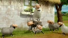 Sound Ideas, HUMAN, WHISTLE - CALLING WHISTLE 01/Image Gallery ...