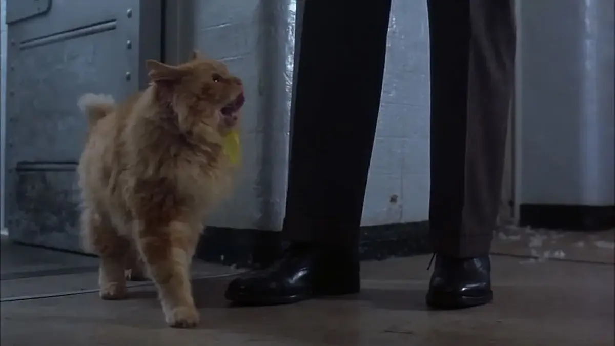 SKYWALKER, HUMAN - SMALL BURP | Soundeffects Wiki | Fandom