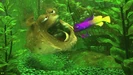 Finding Nemo (2003)/Image Gallery | Soundeffects Wiki | Fandom