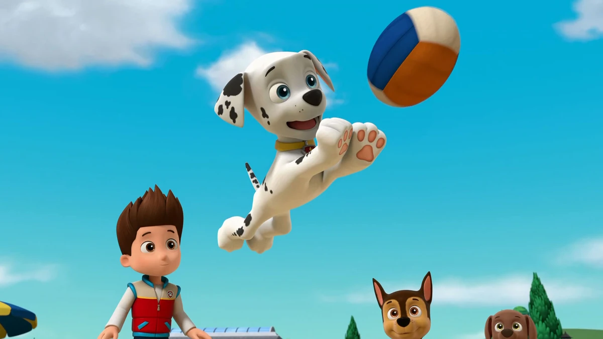 Sound Ideas, CARTOON, BOING - SMALL DRUM BOING, PERCUSSION, MUSIC ...